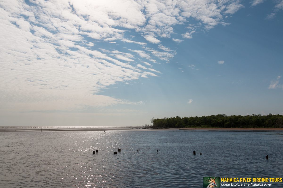 Media Tour 2015 – Mahaica Tours