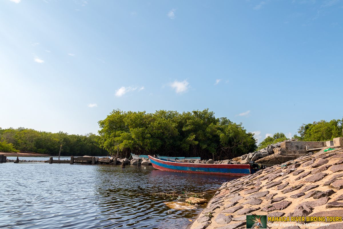 Photo Gallery – Mahaica Tours