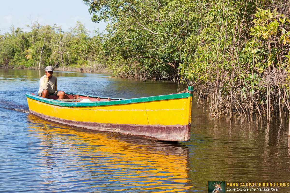 Photo Gallery – Mahaica Tours