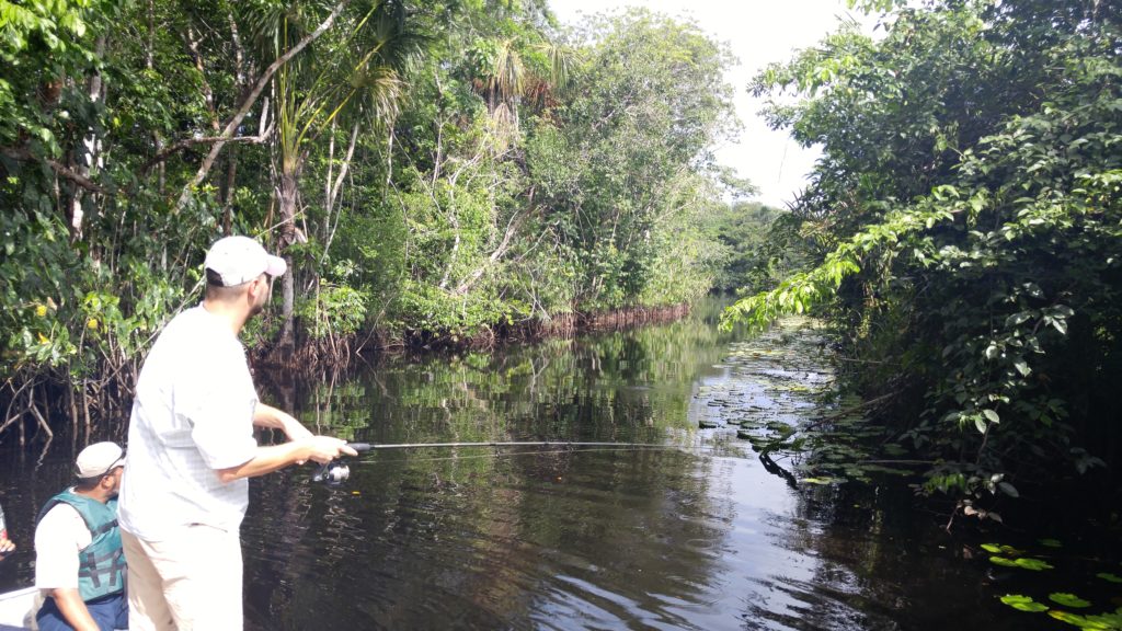 Mahaica River Birding Tour – Mahaica Tours